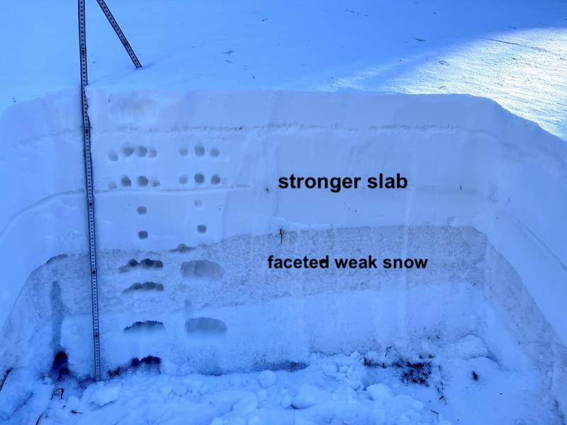 Understanding the Risk of Persistent Weak Layer Avalanches - Utah Avalanche Center